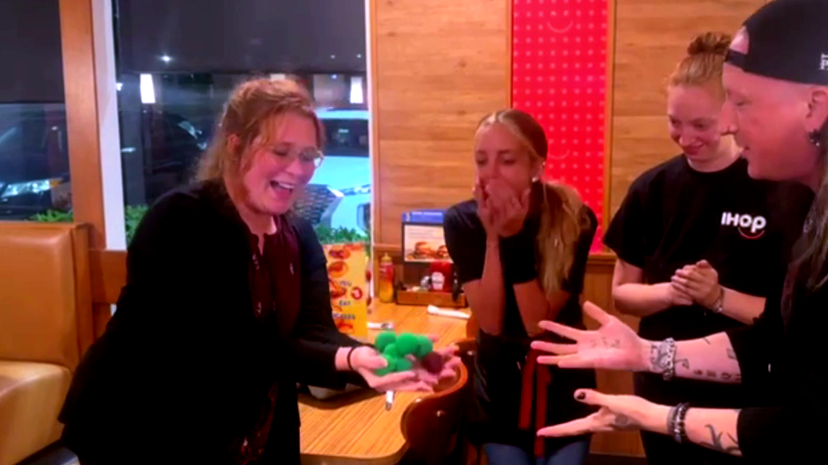 HANDY DANDY DUMPER (Sponge Delivery Device) – Dan Sperry